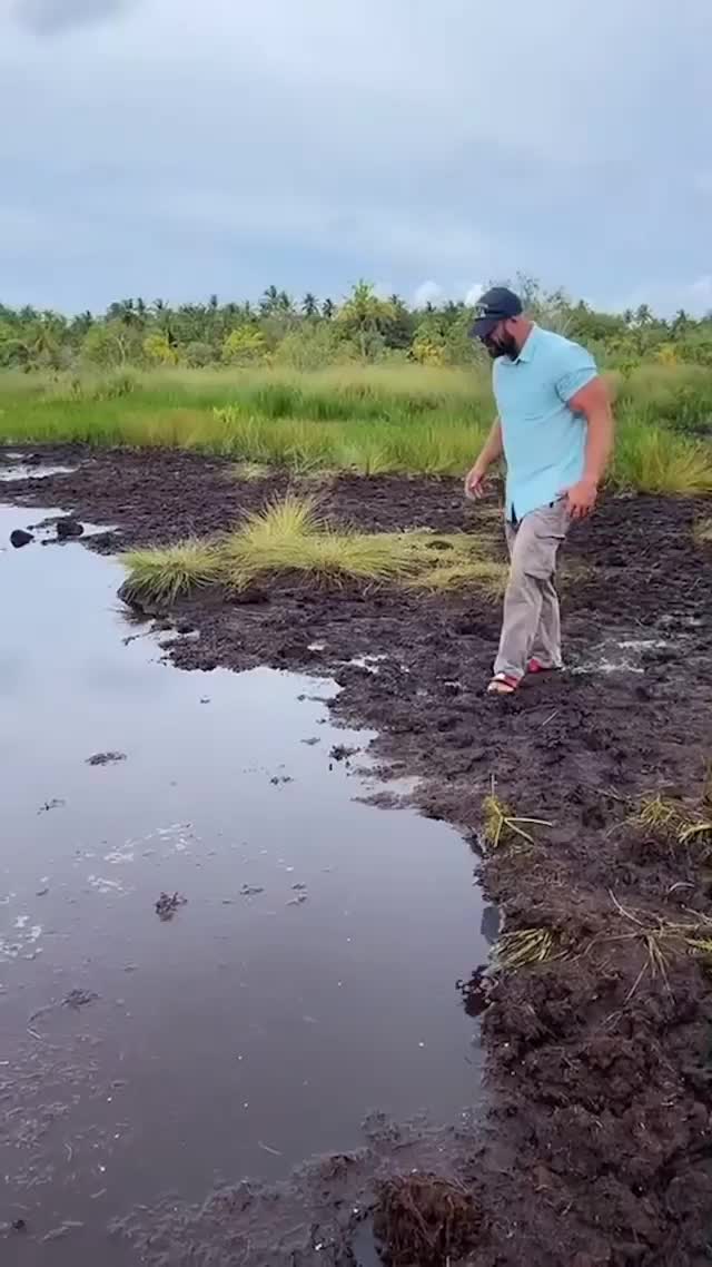 Maybe maybe maybe | Scrolller