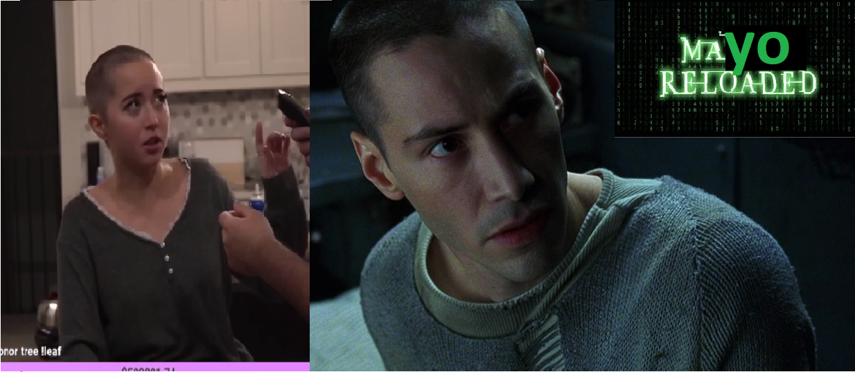 Mayo Reloaded | Scrolller