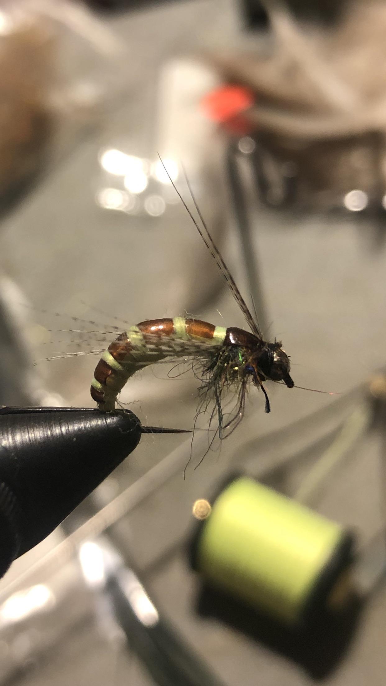 Mcphail Caddis pupa using what I had around | Scrolller
