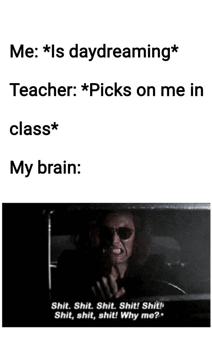 Me in a nutshell: | Scrolller