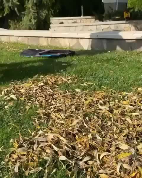 Mechanical leaf and lawn collector | Scrolller