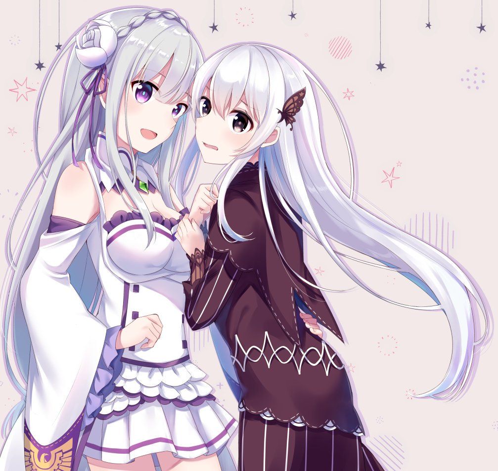 [Media] Echidna doesn't seem as confident as Emilia when it comes to pictures | Scrolller