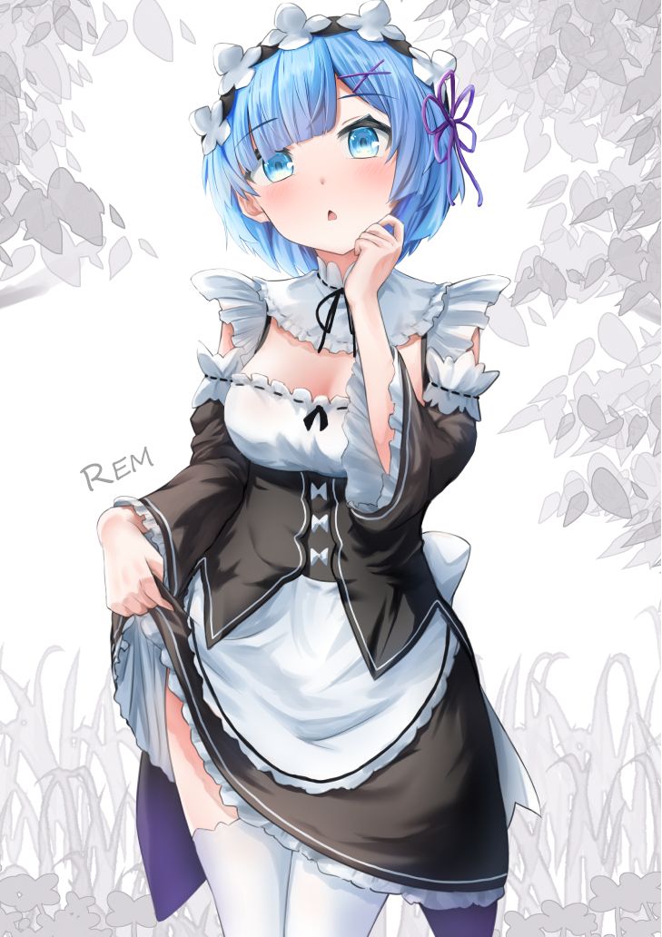 Rem [Re: Zero] | Scrolller