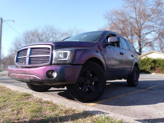 Meet Clyde | Scrolller