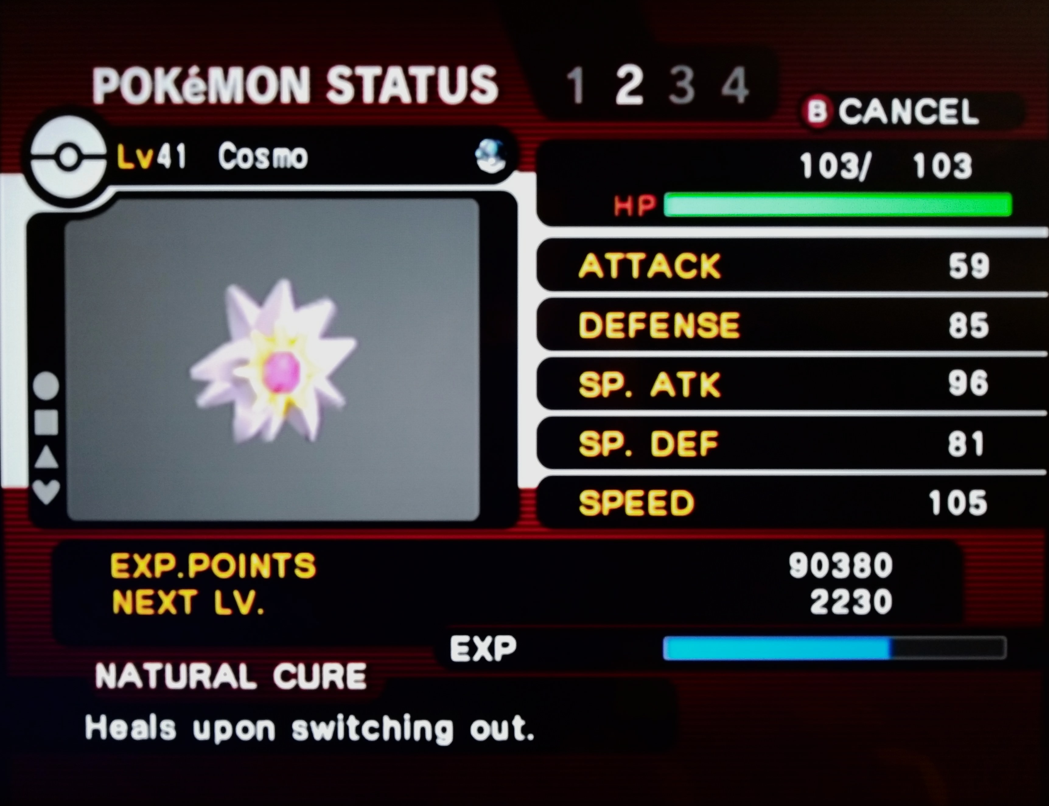 Meet Cosmo, the first of my three future ribbon masters! | Scrolller