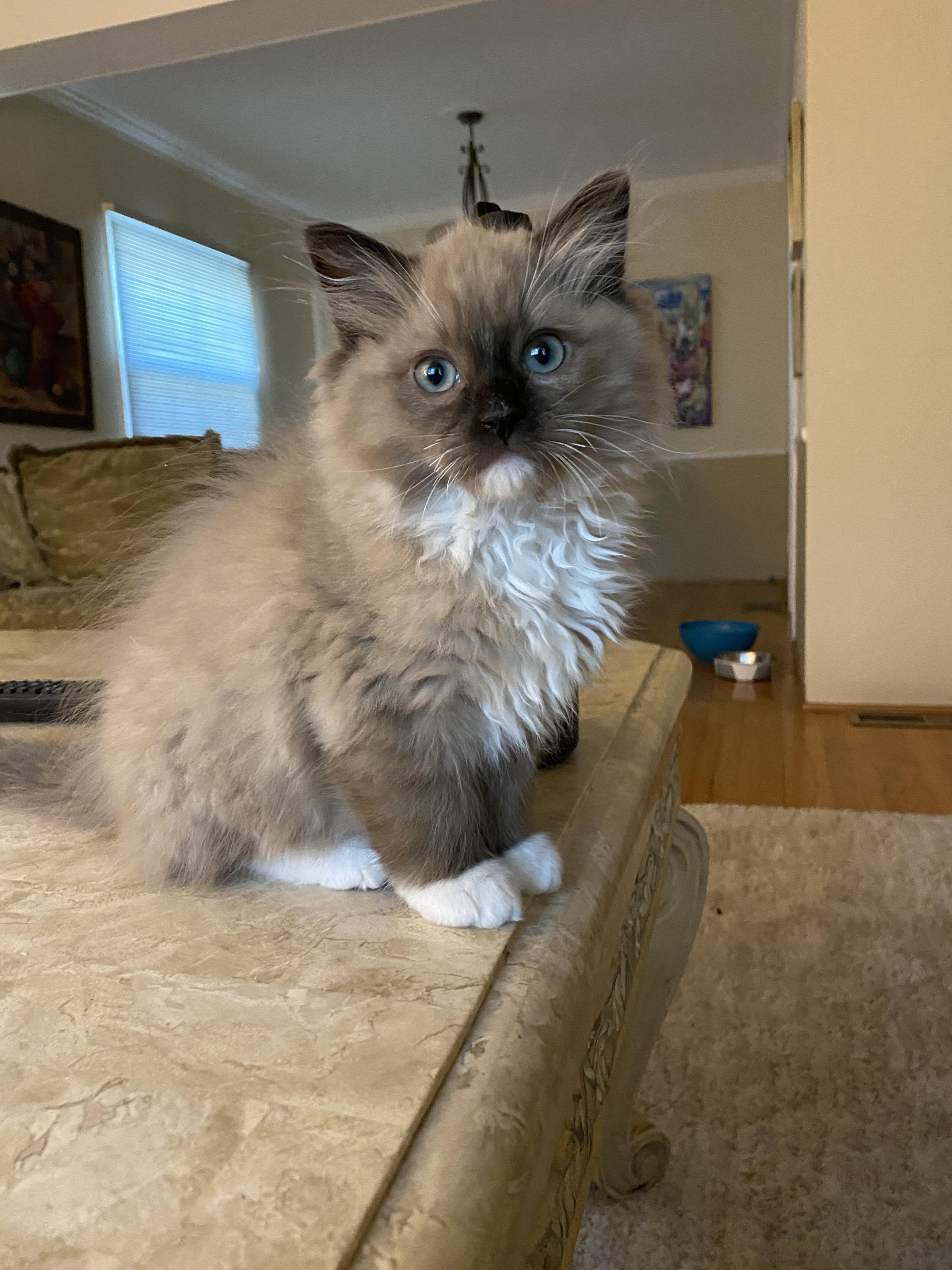 Meet Fred! His brother, Barney, wasn’t up for a picture. | Scrolller