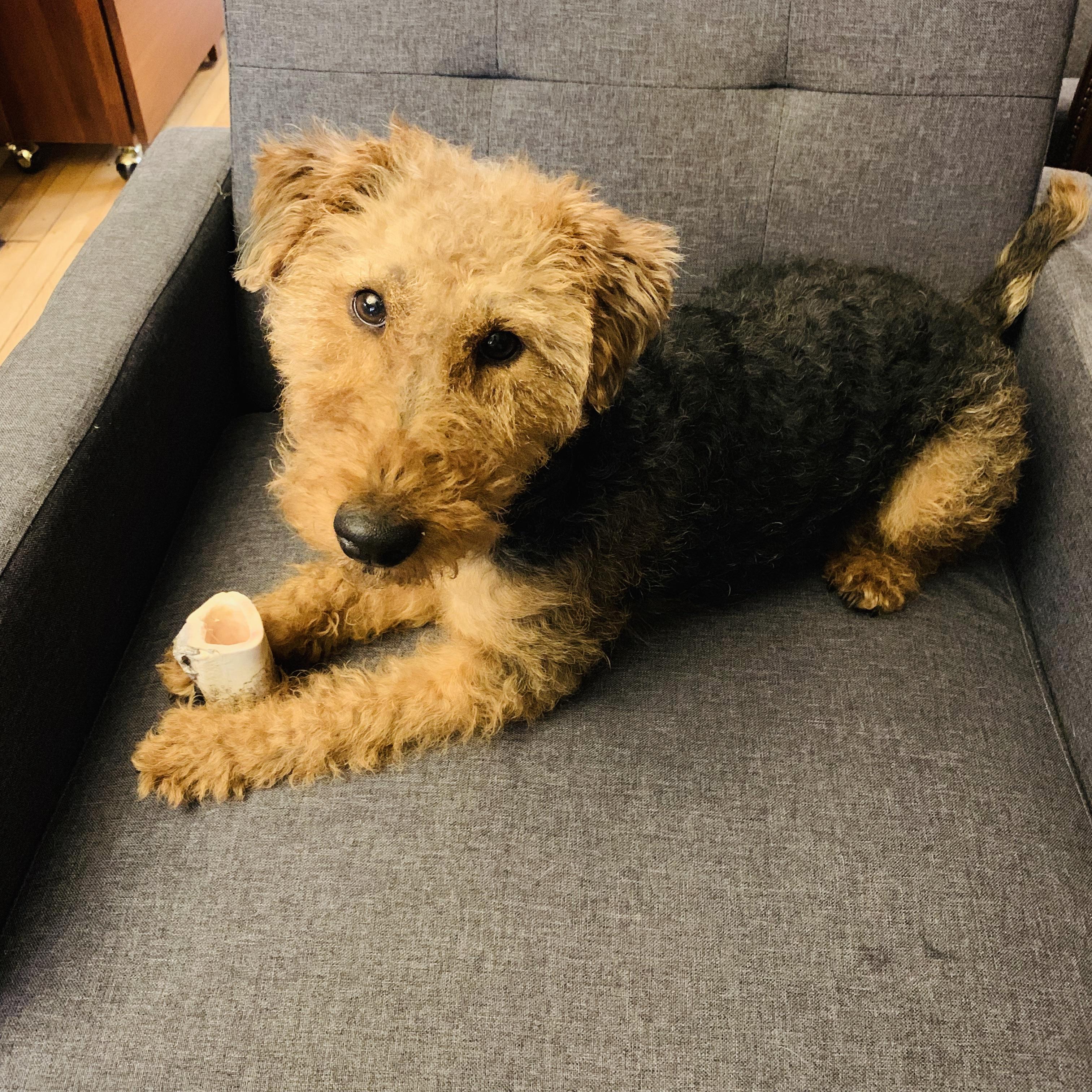 Meet Karen | Scrolller