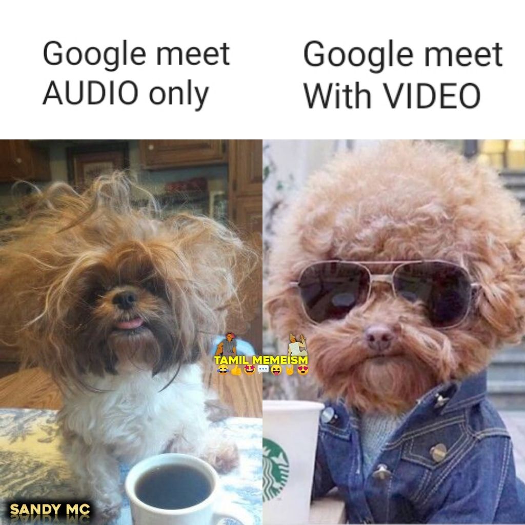 Meet memes | Scrolller