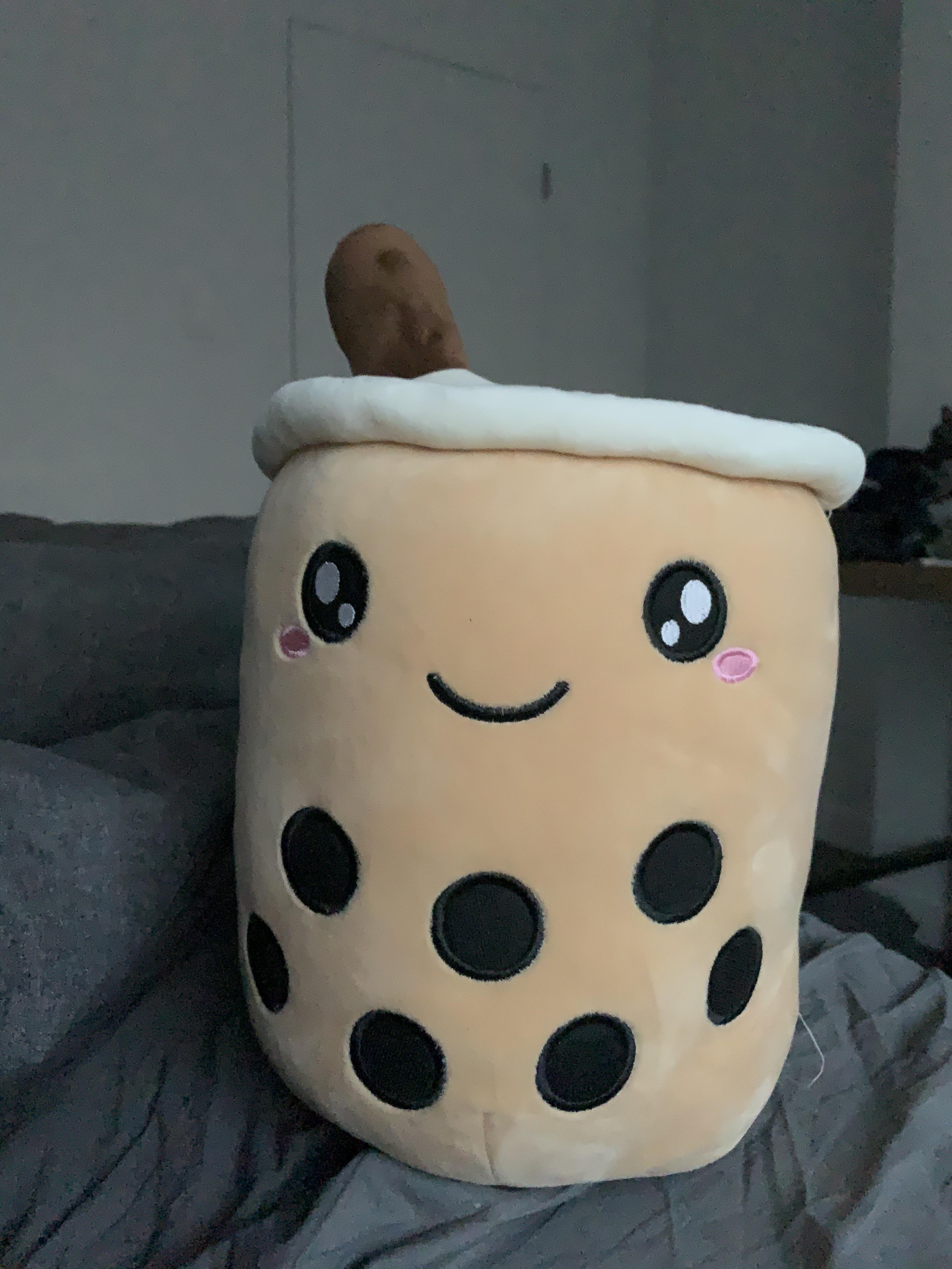 Meet Milkie! She’s my first stuffie from my Dd 💖 | Scrolller