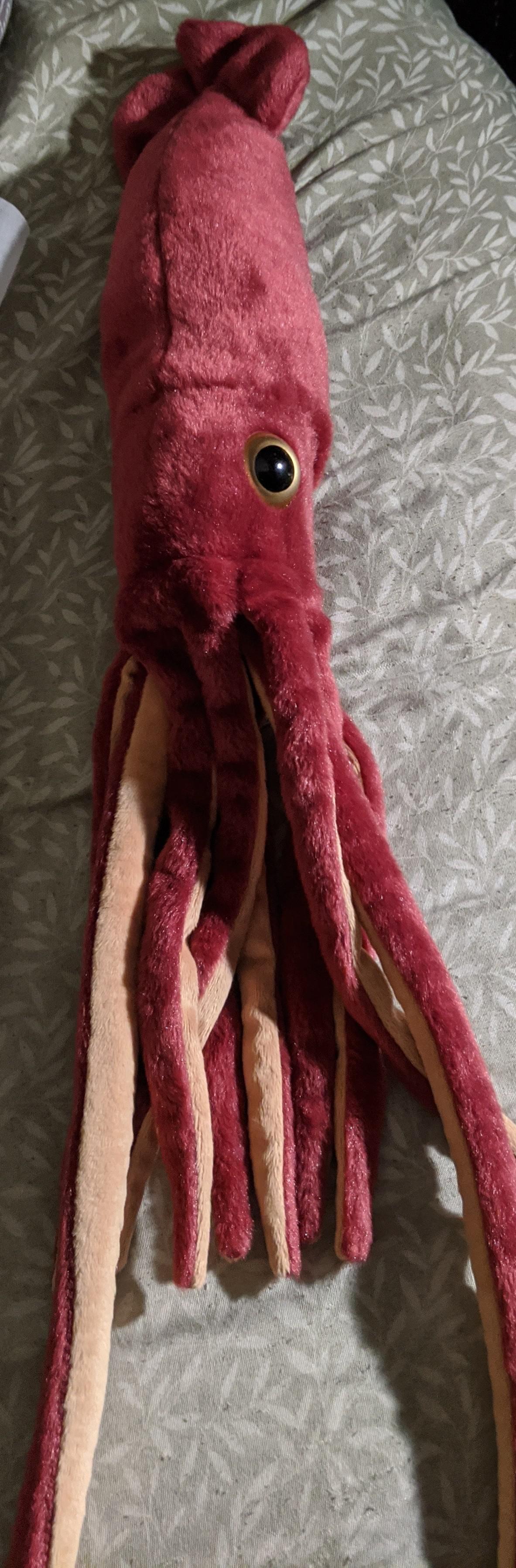 Meet my new favorite teddy SUSHI 🍣 | Scrolller