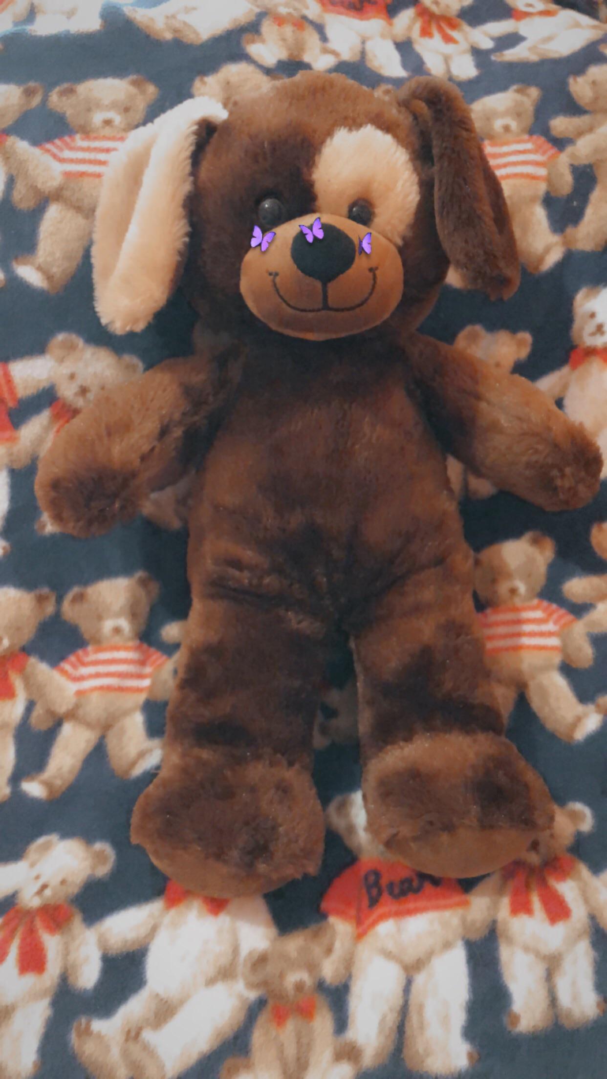 Meet my new teddy, his name is Bob. My daddy helped me name him. 😊😁 | Scrolller