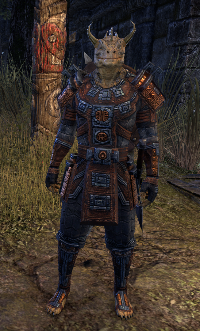 Meet Pajeius, the justice obsessed argonian | Scrolller