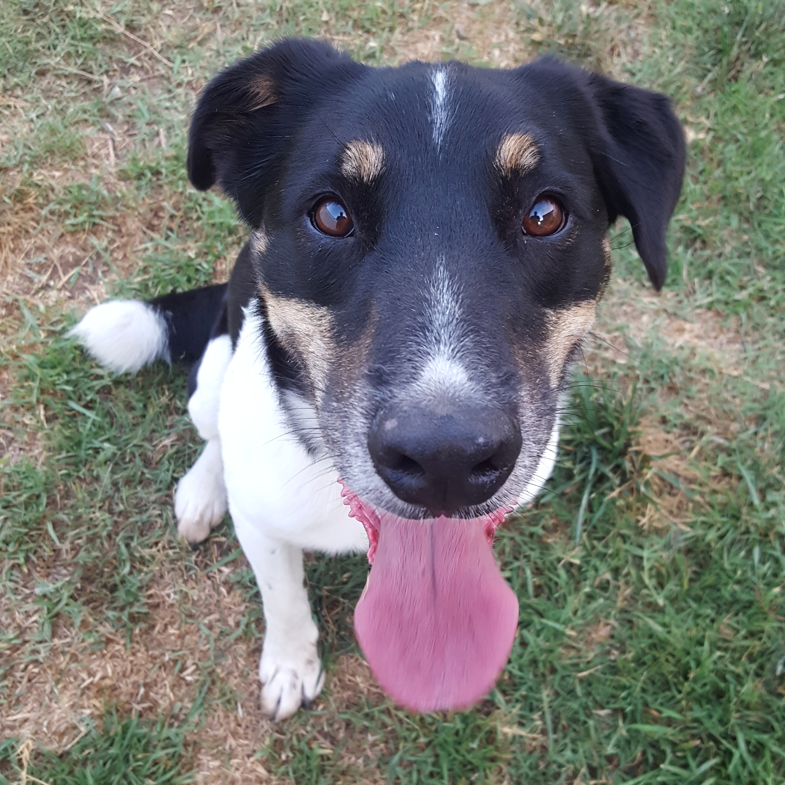 Meet Rowan | Scrolller