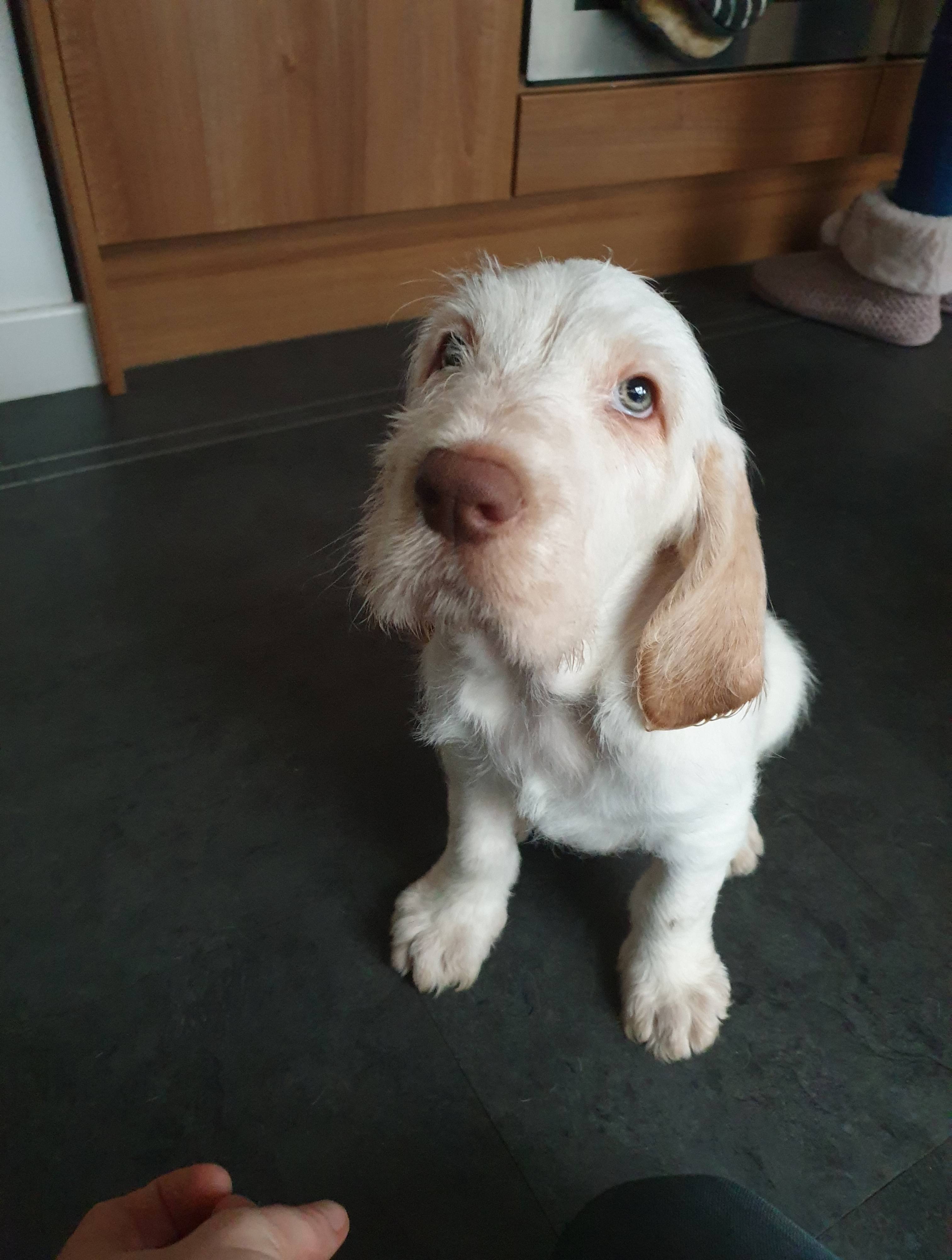 Meet Ted, our newest addition 😍 | Scrolller