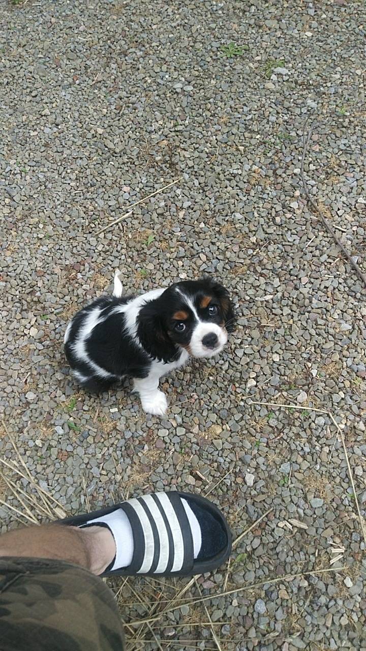 Meet Ted, the little nibbler | Scrolller