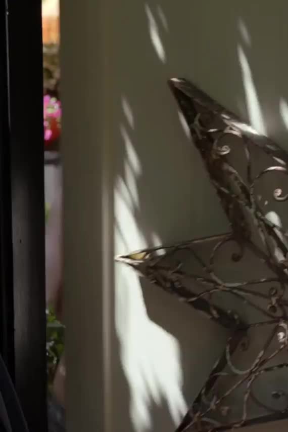 Meghan Falcone | Scrolller