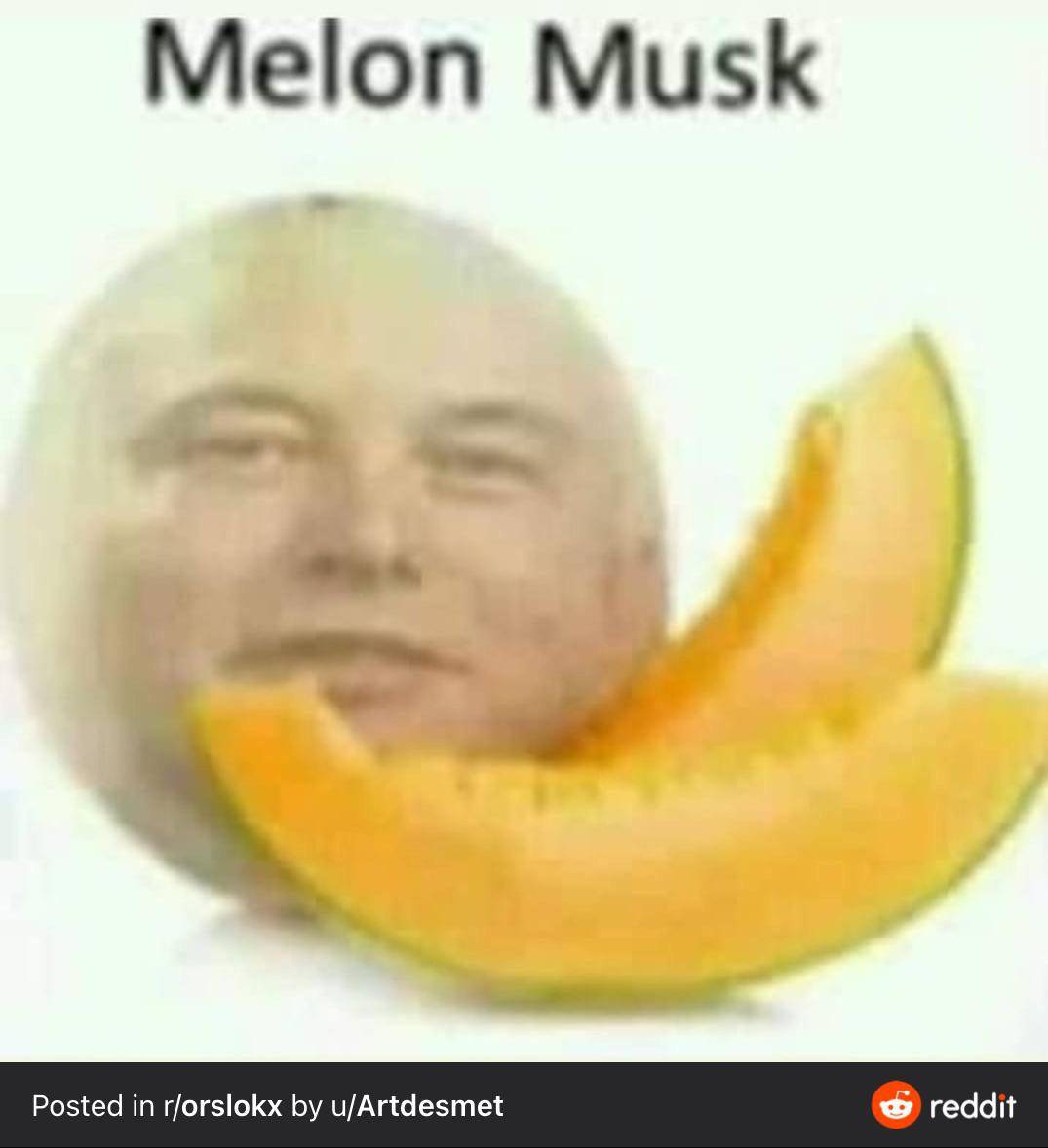 Melon Musk | Scrolller