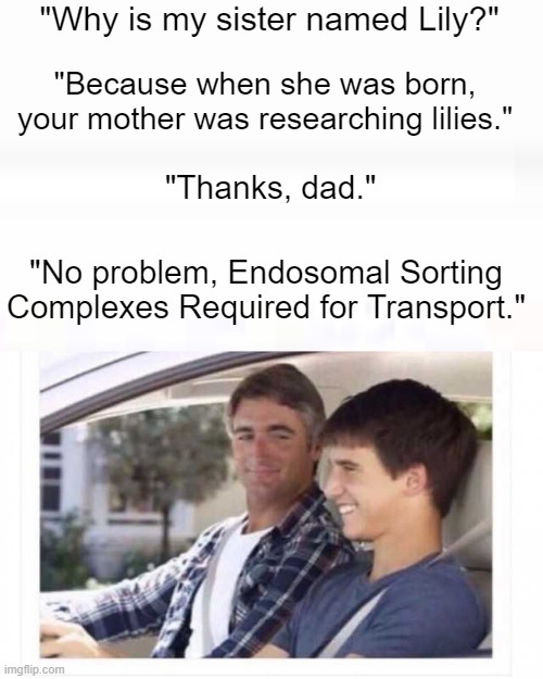 *membrane budding increases* | Scrolller