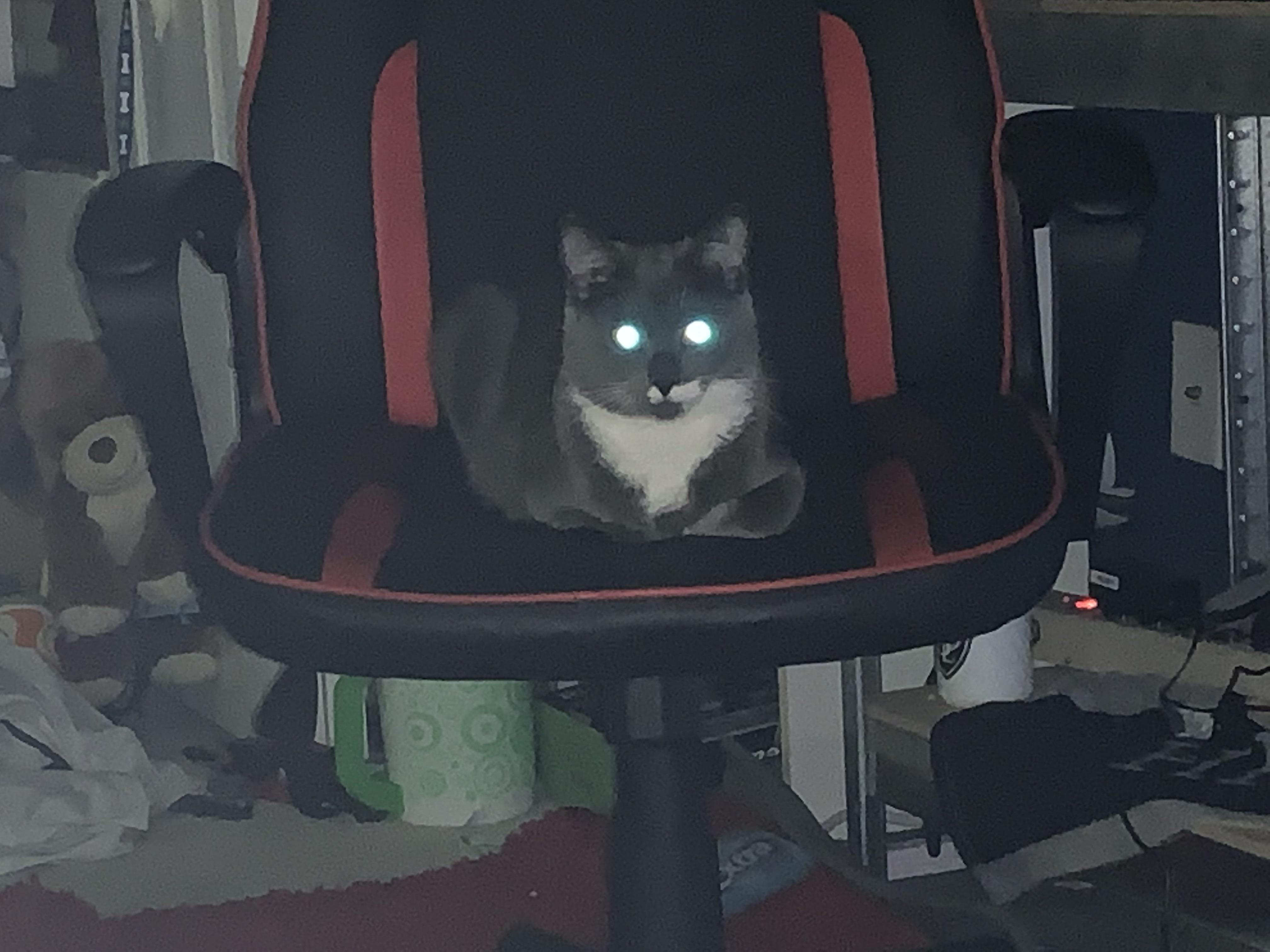 Meme format? | Scrolller