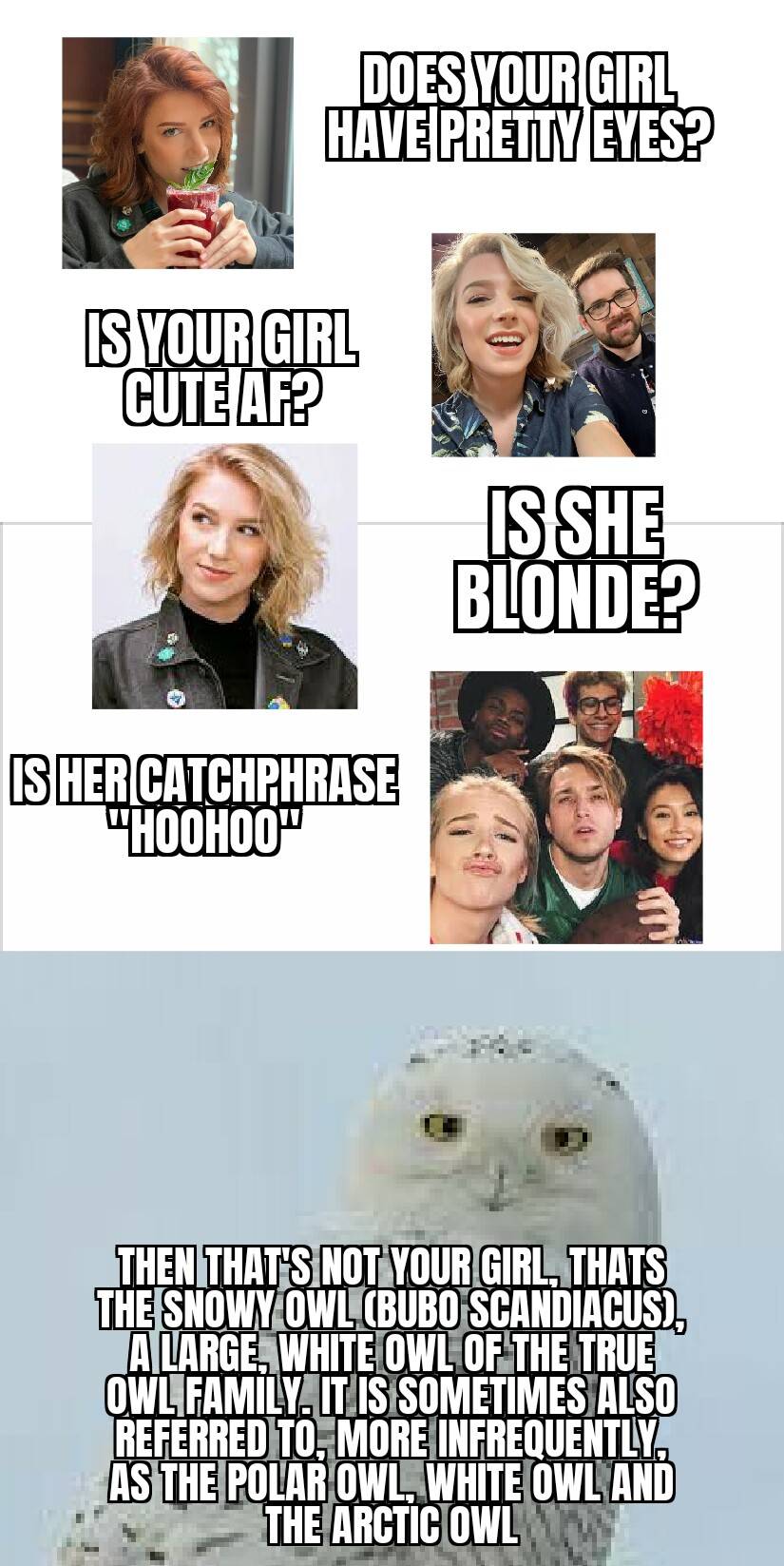 Meme format uno reverse card | Scrolller