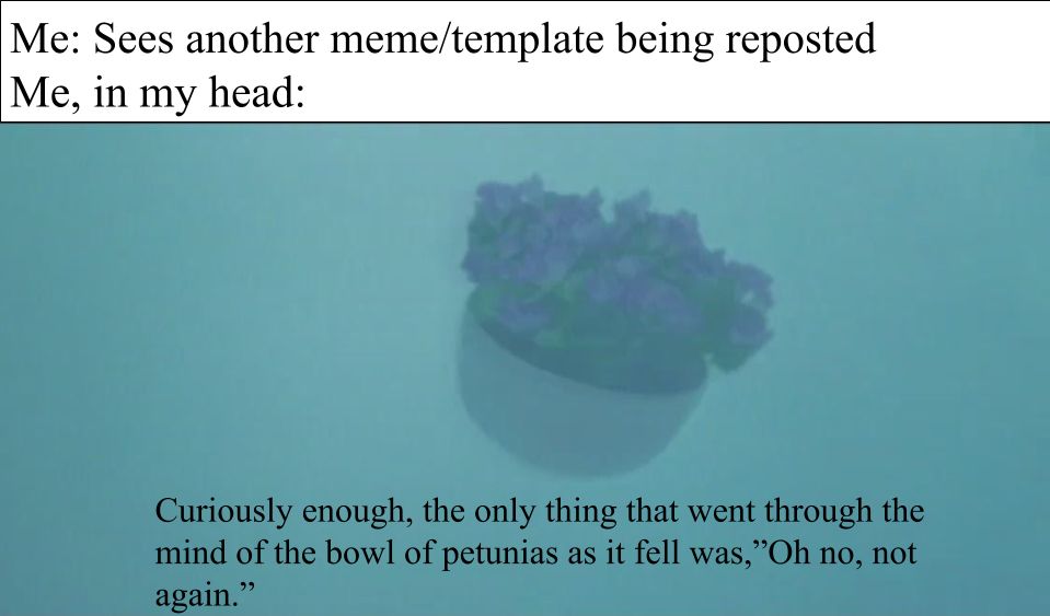 meme_irl | Scrolller