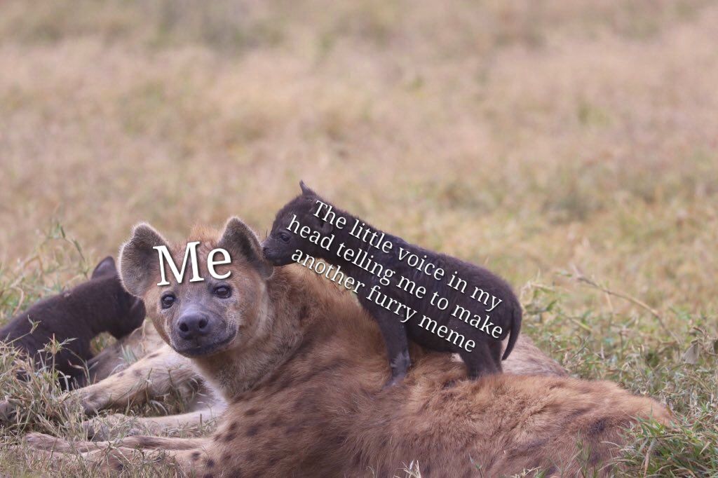 Meme_irl | Scrolller