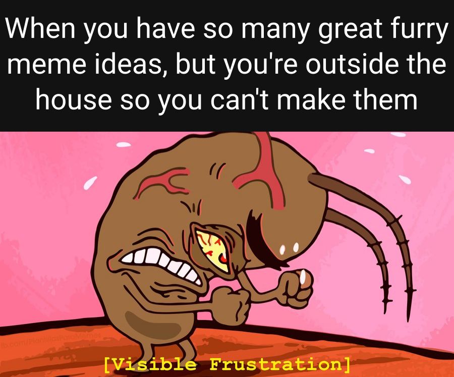 memes_irl | Scrolller