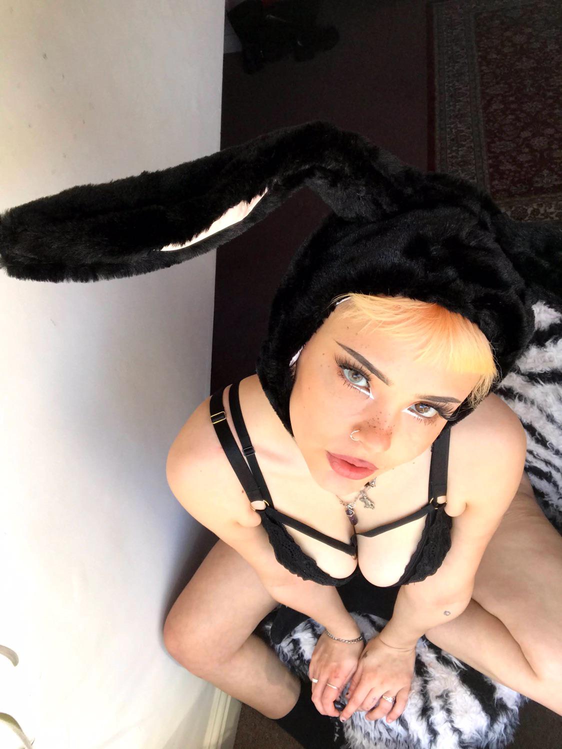 Who like naughty bunnies !? | Scrolller