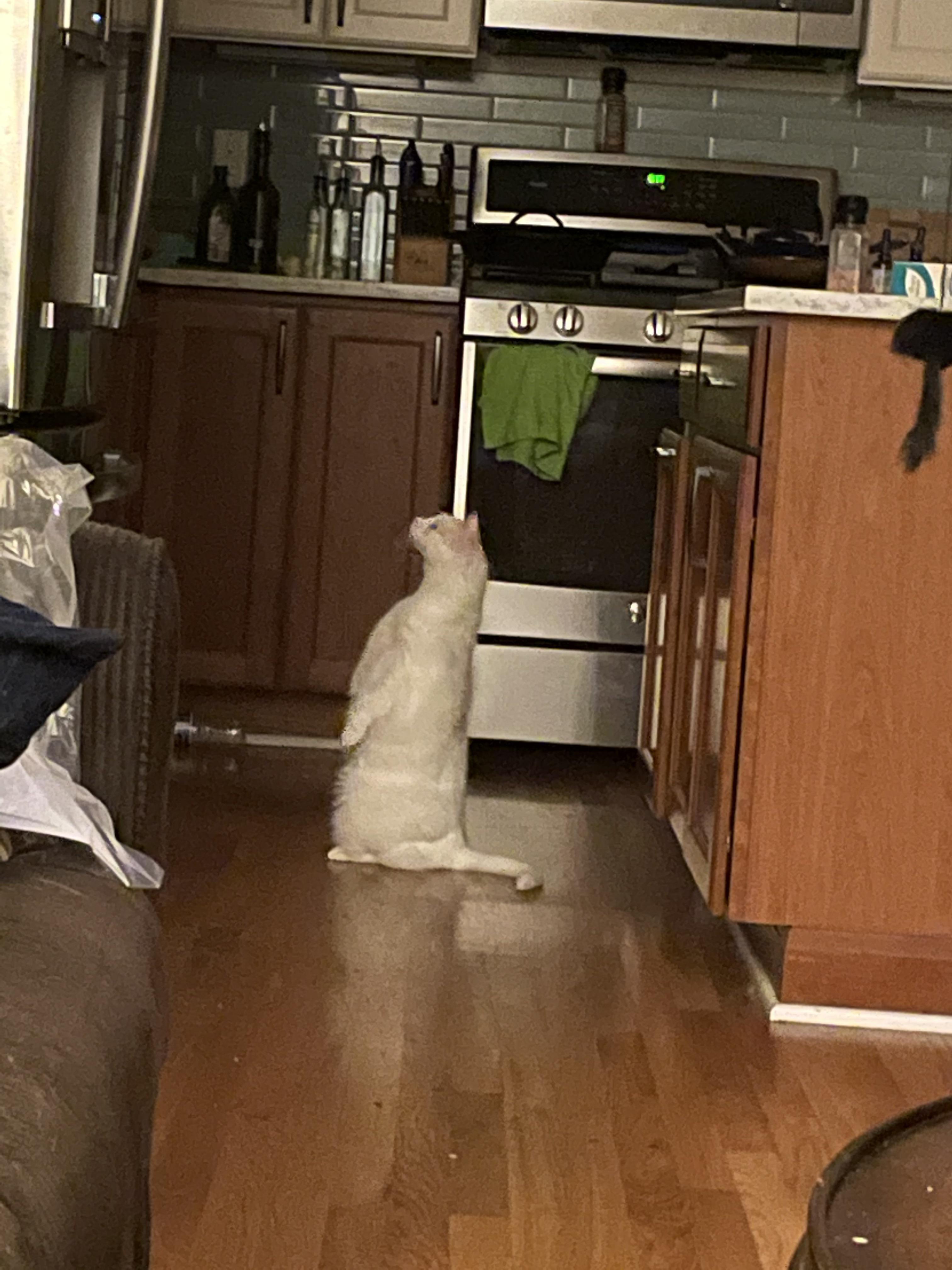 Methos Monday | Scrolller