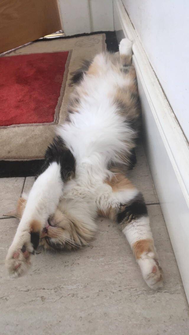 Michael taking a snooze | Scrolller