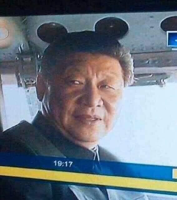 Mickey Mao | Scrolller