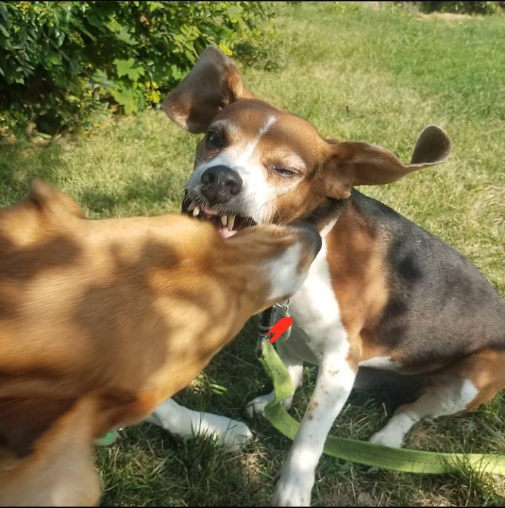 Mid-play glamour shot | Scrolller