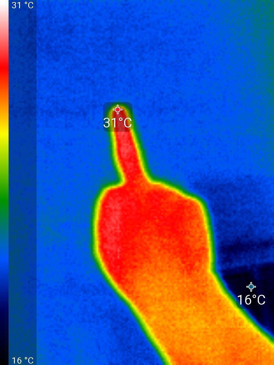middle🔥finger | Scrolller