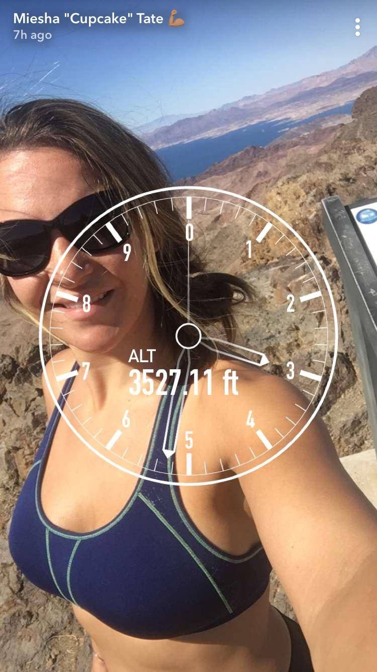 Miesha Tate | Scrolller