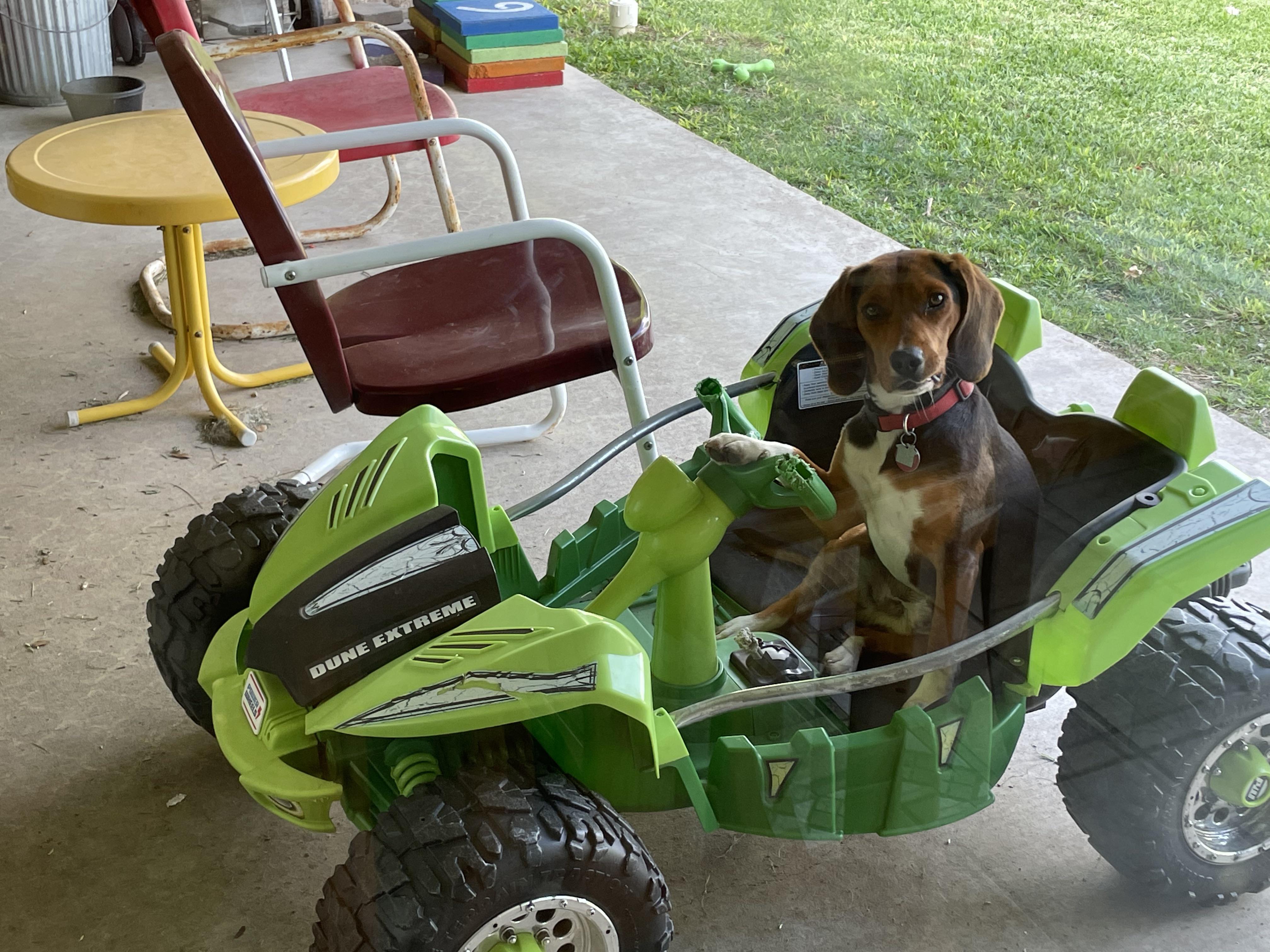 Miles in his ride. | Scrolller