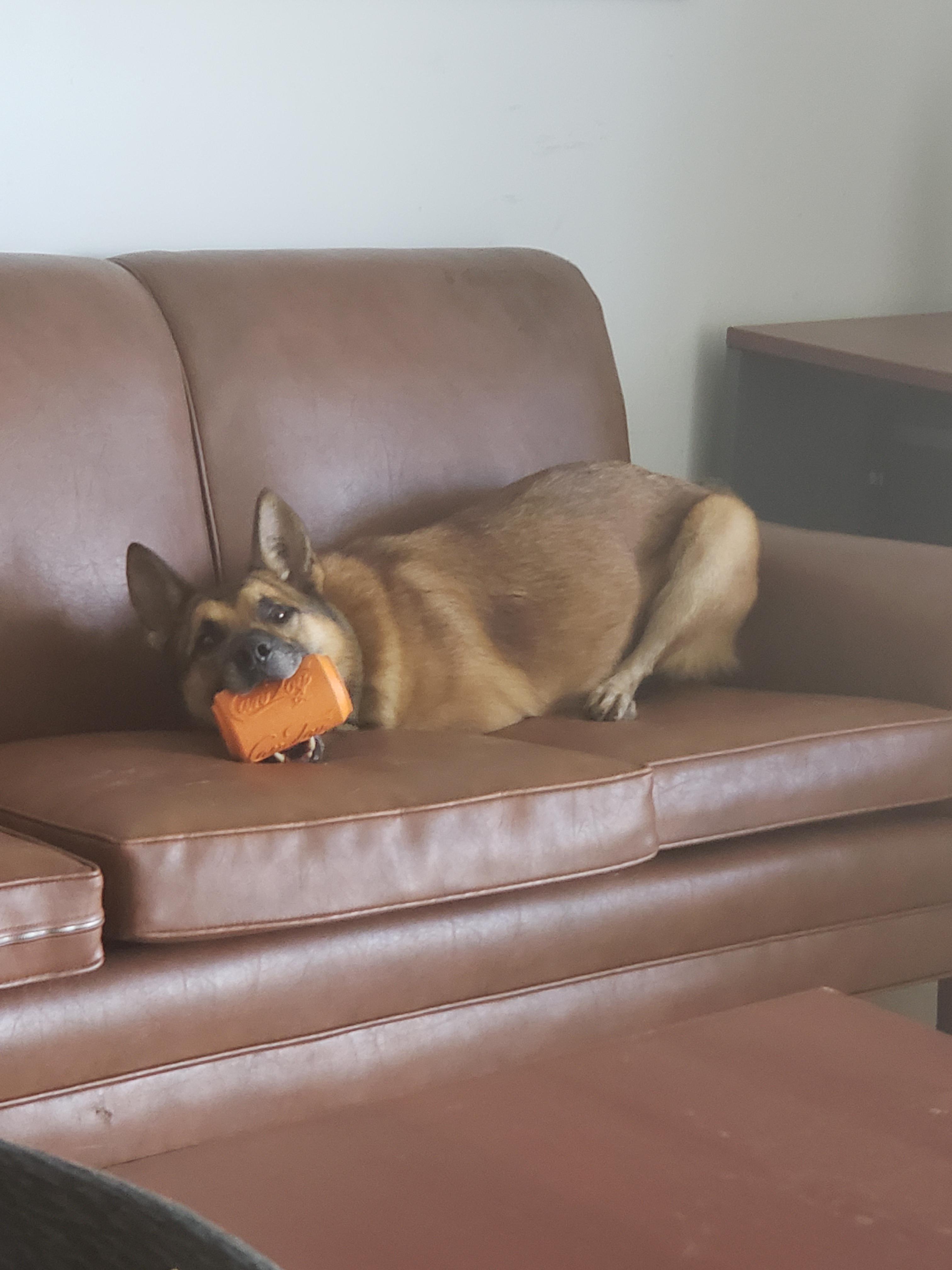 Military Working Loaf | Scrolller