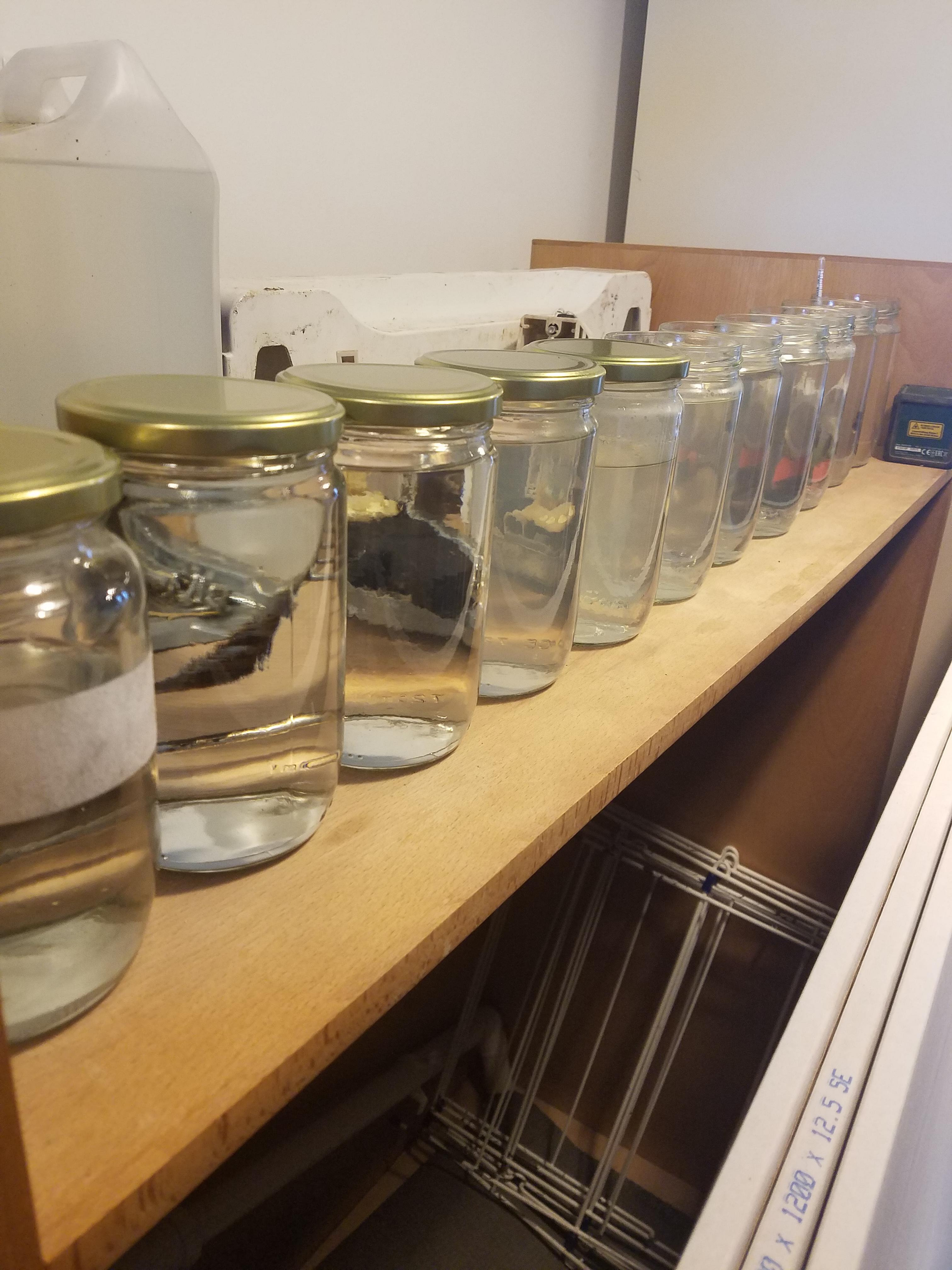 Milk bucket still build update | Scrolller