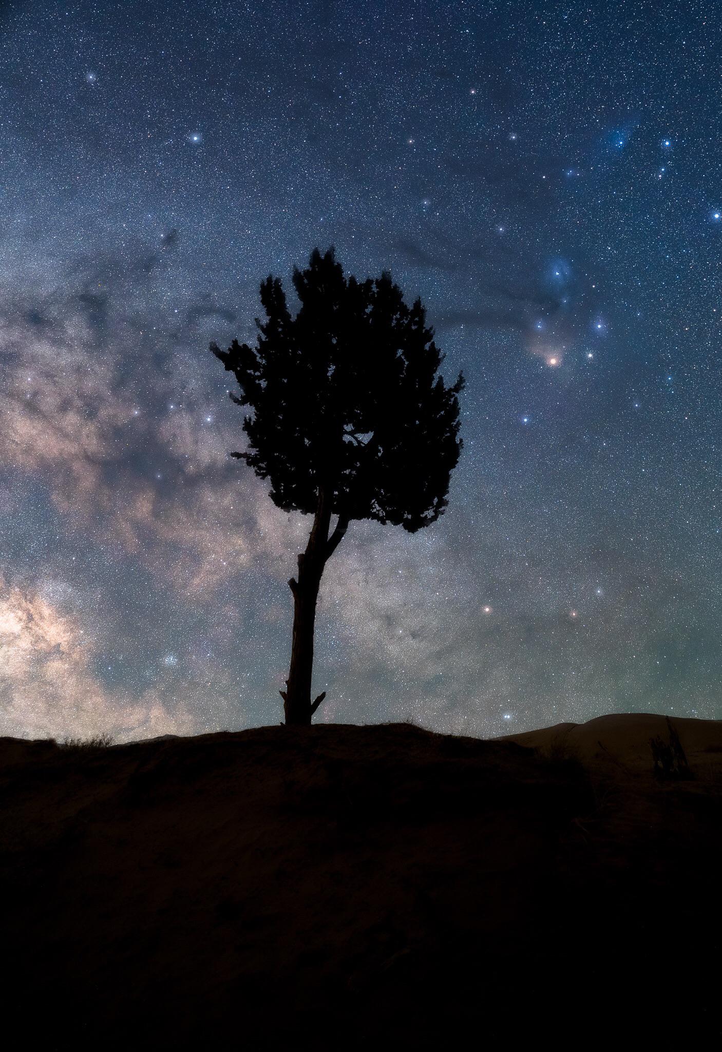 Milky Way core. | Scrolller