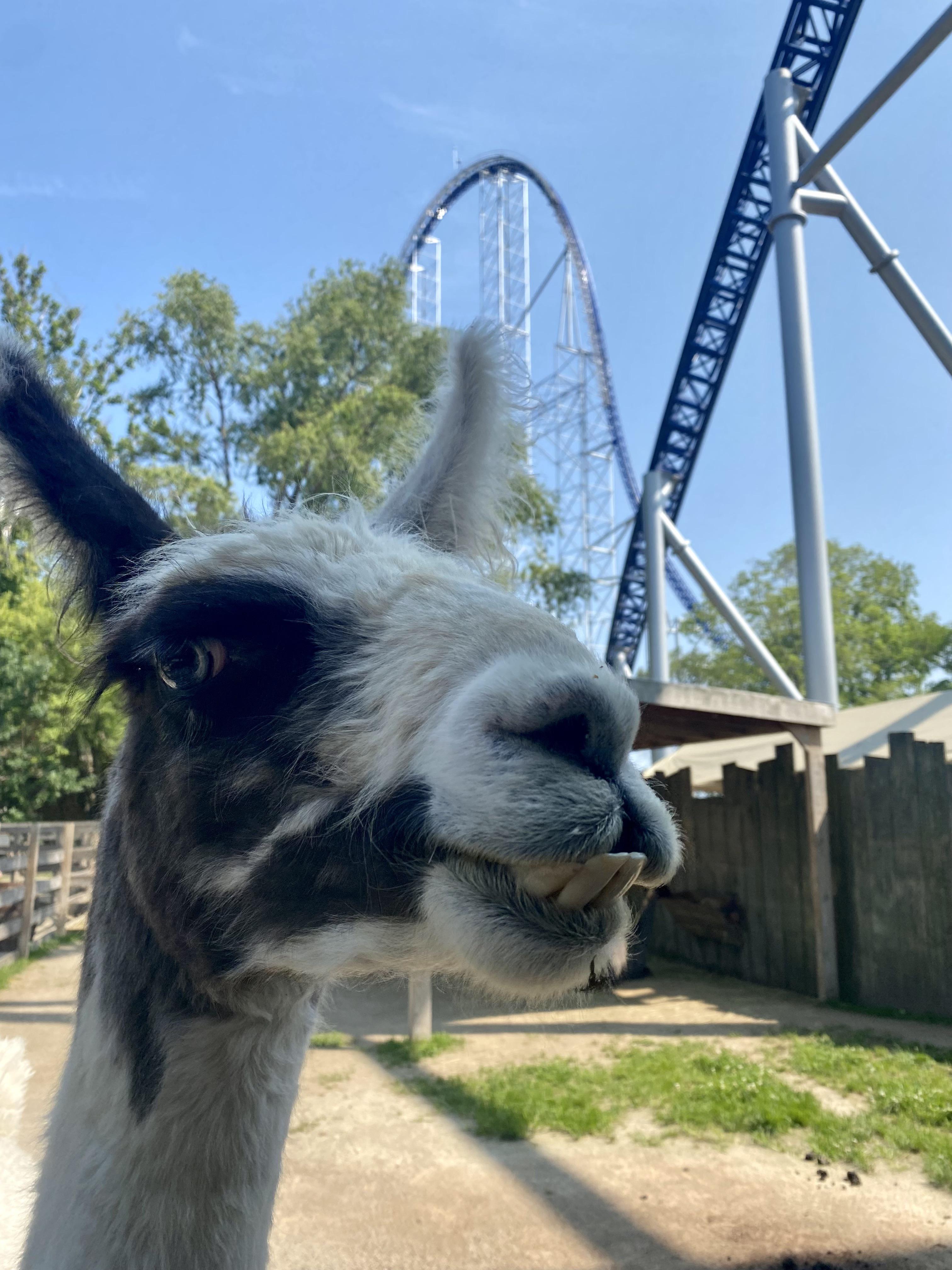 [Millamanum Force, Cedar Point] | Scrolller