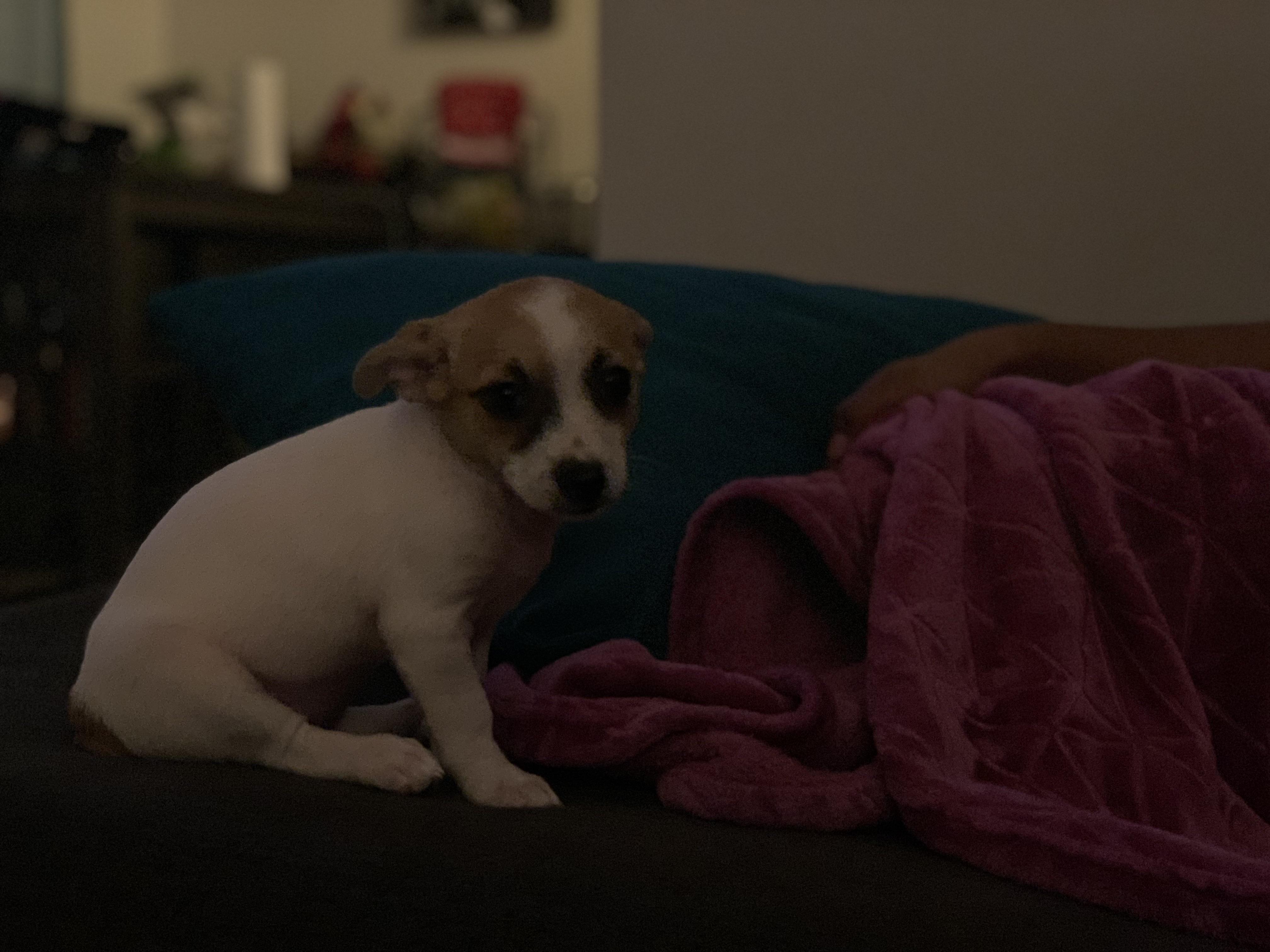 Milli bugs | Scrolller