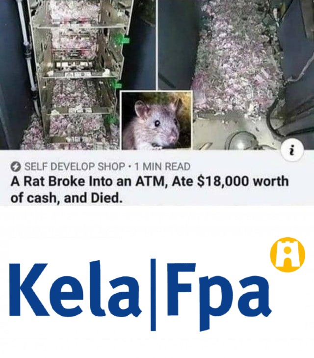 mina_irl | Scrolller