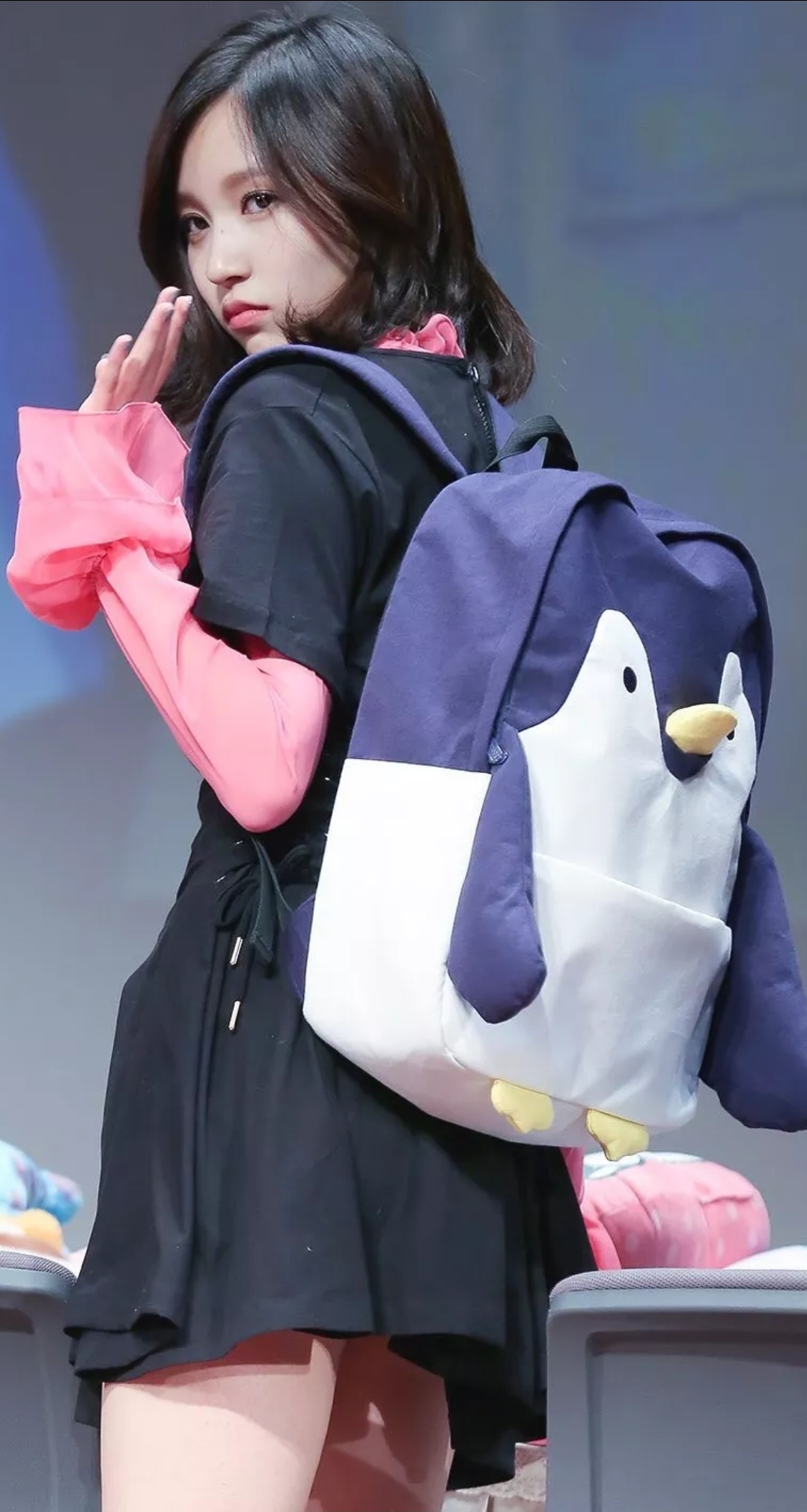Mina - penguin backpack, black dress | Scrolller