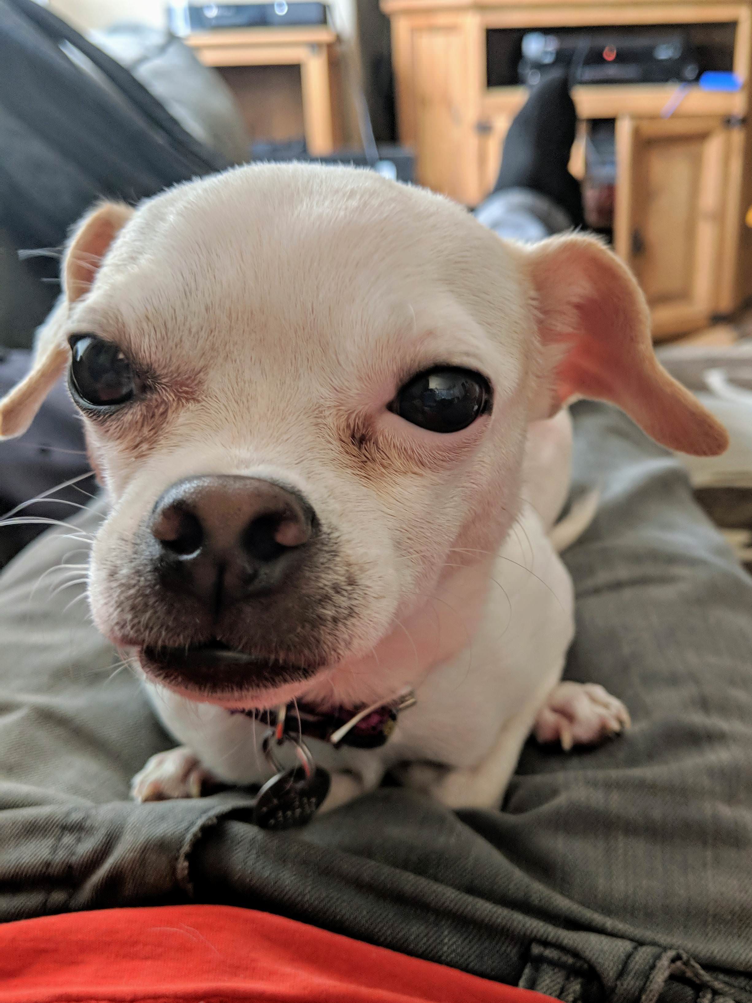 Mini loaf | Scrolller