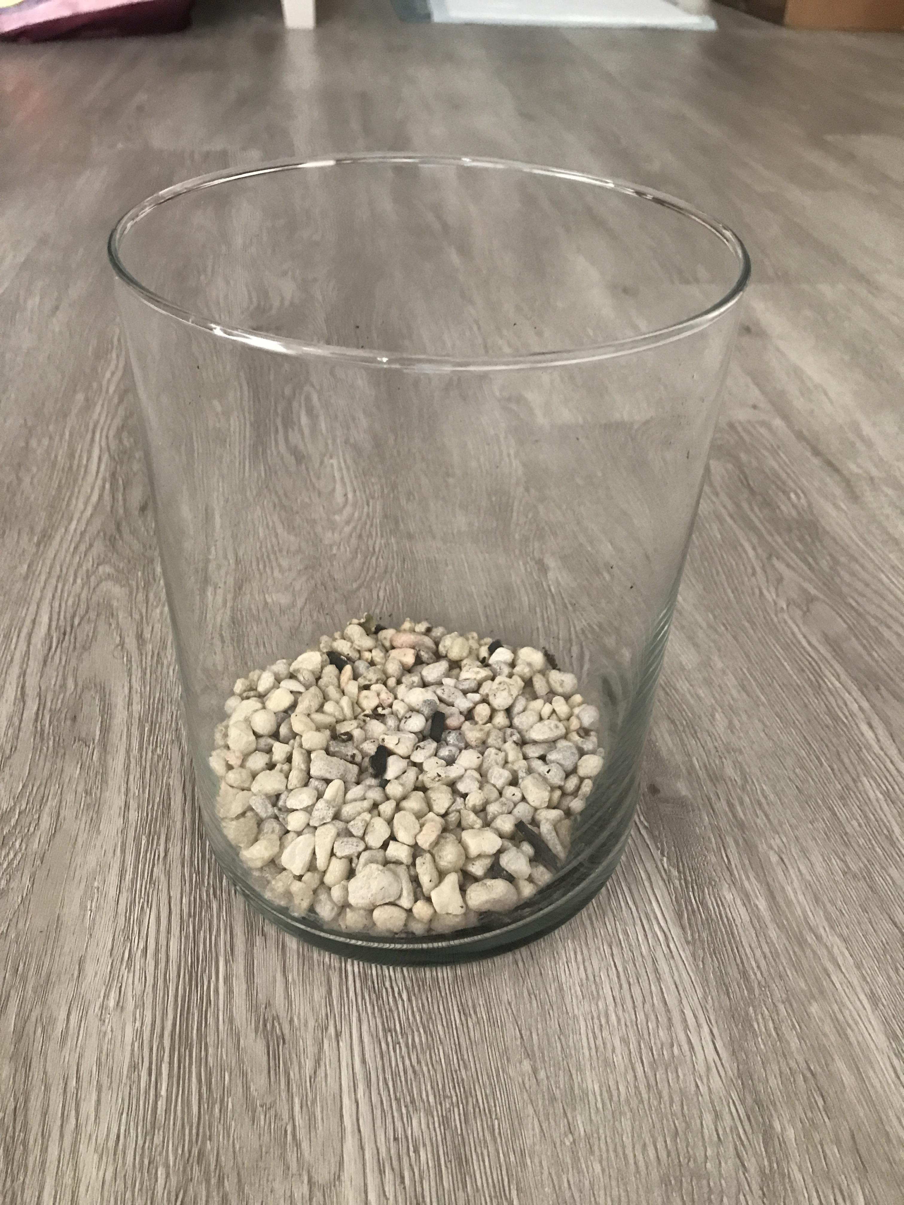 “Mini setup” ideas with this glass vase? | Scrolller