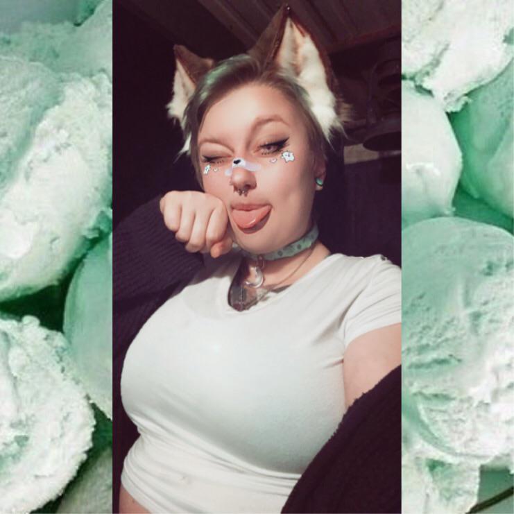 Mint chocolate chip pup 🐾🍫 | Scrolller