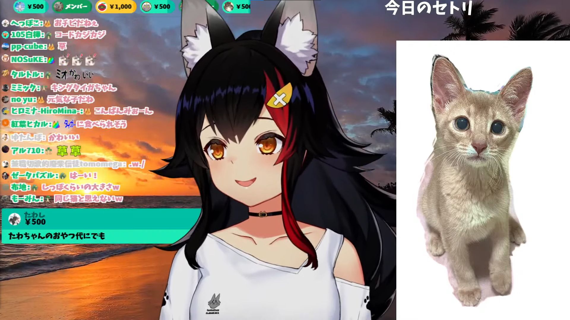 Mio's new cat, Tawa-chan | Scrolller