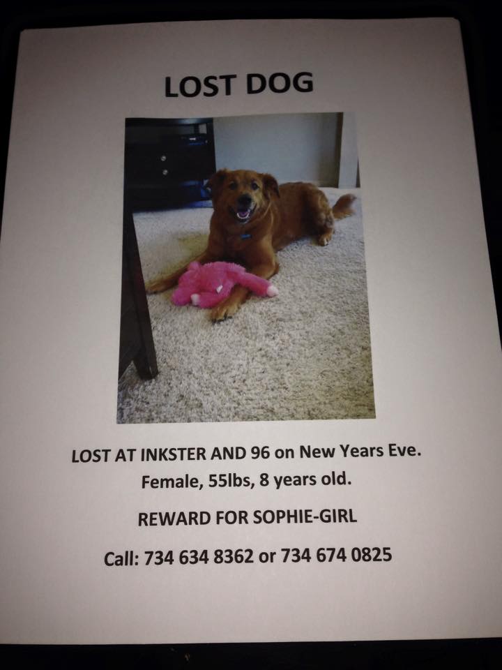 Missing dog I-96 and Inkster | Scrolller
