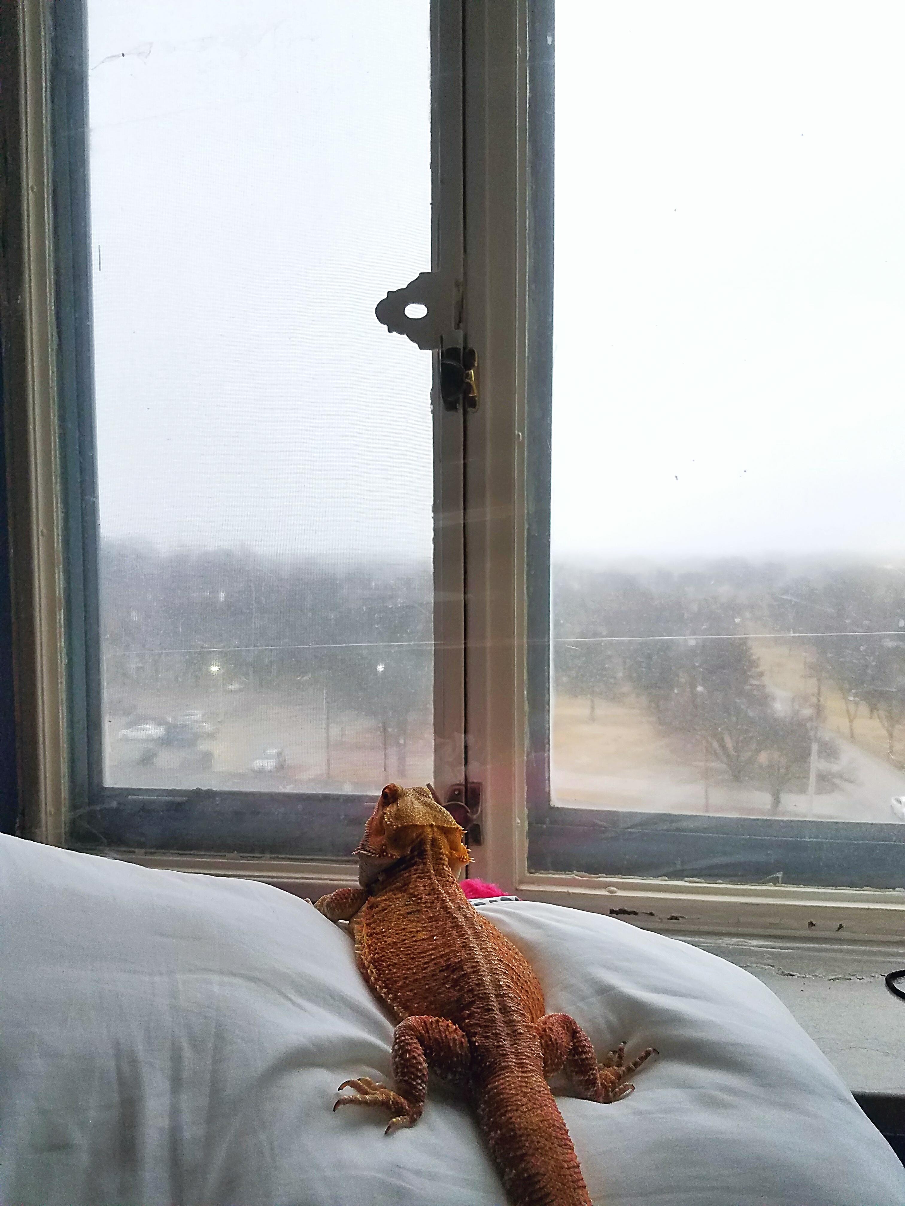 Missing the sun today! | Scrolller