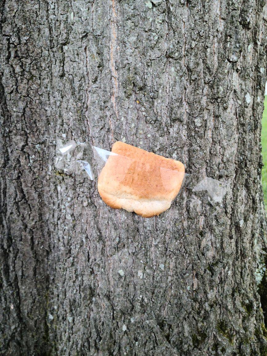 Mission Complete | Scrolller