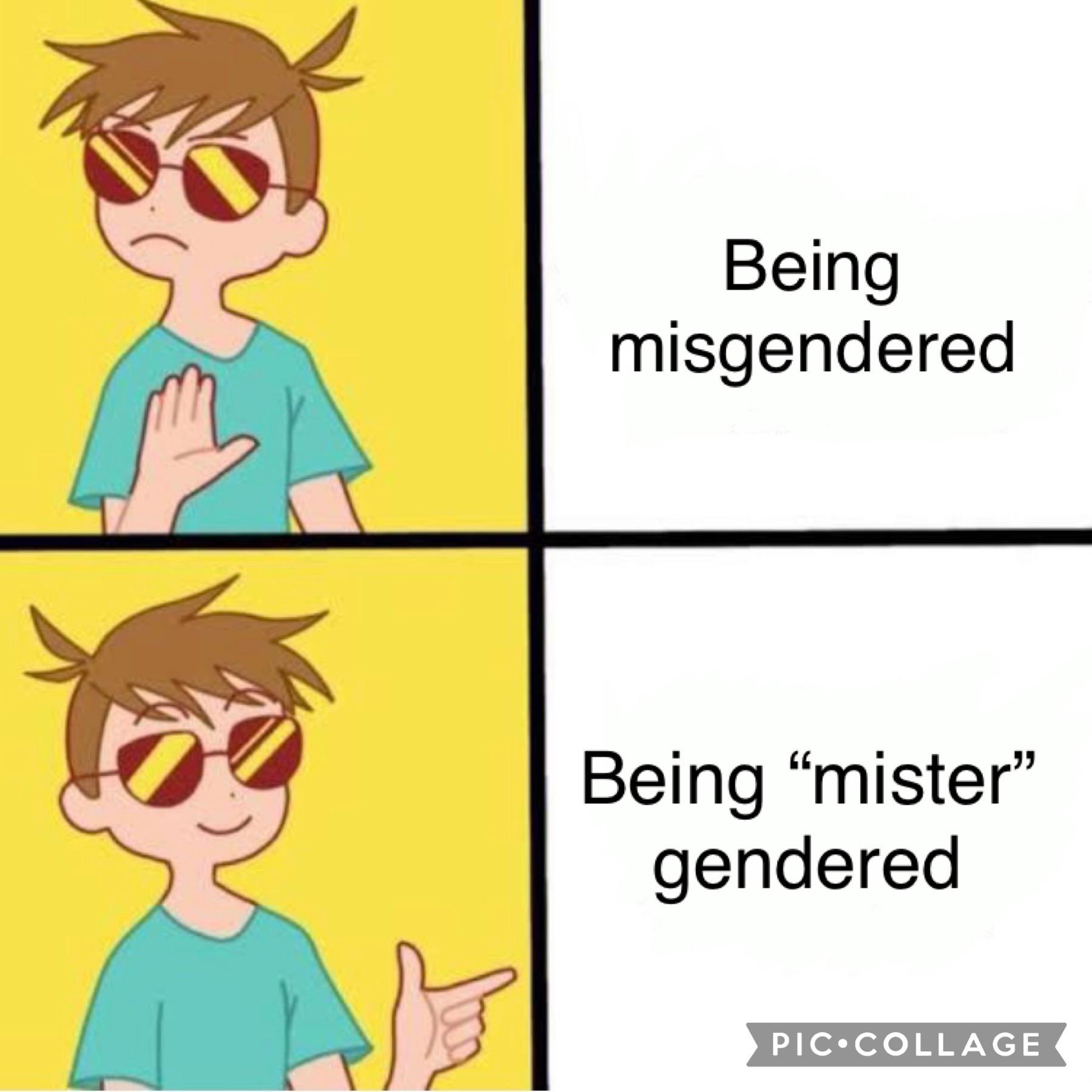 Mister gendered | Scrolller